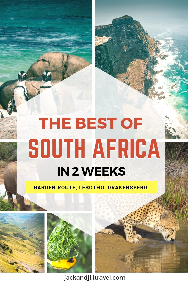 The Ultimate 2-Week South Africa Road Trip Itinerary! (Including Garden ...